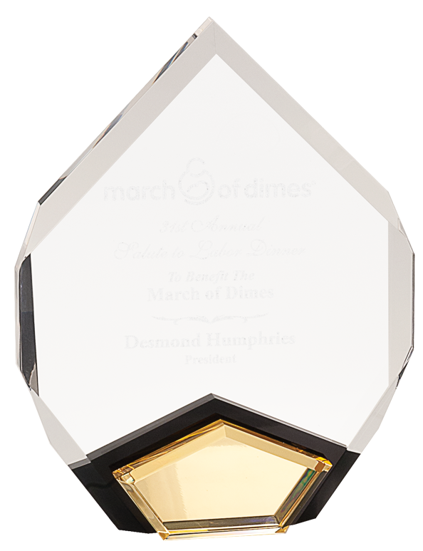 Acrylic Awards – Delp's Awards